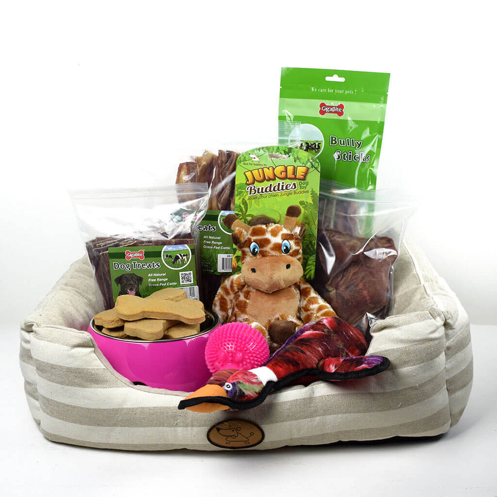 I Love Playtime Dog Gift Basket – Dog Gift Baskets – USA delivery ...